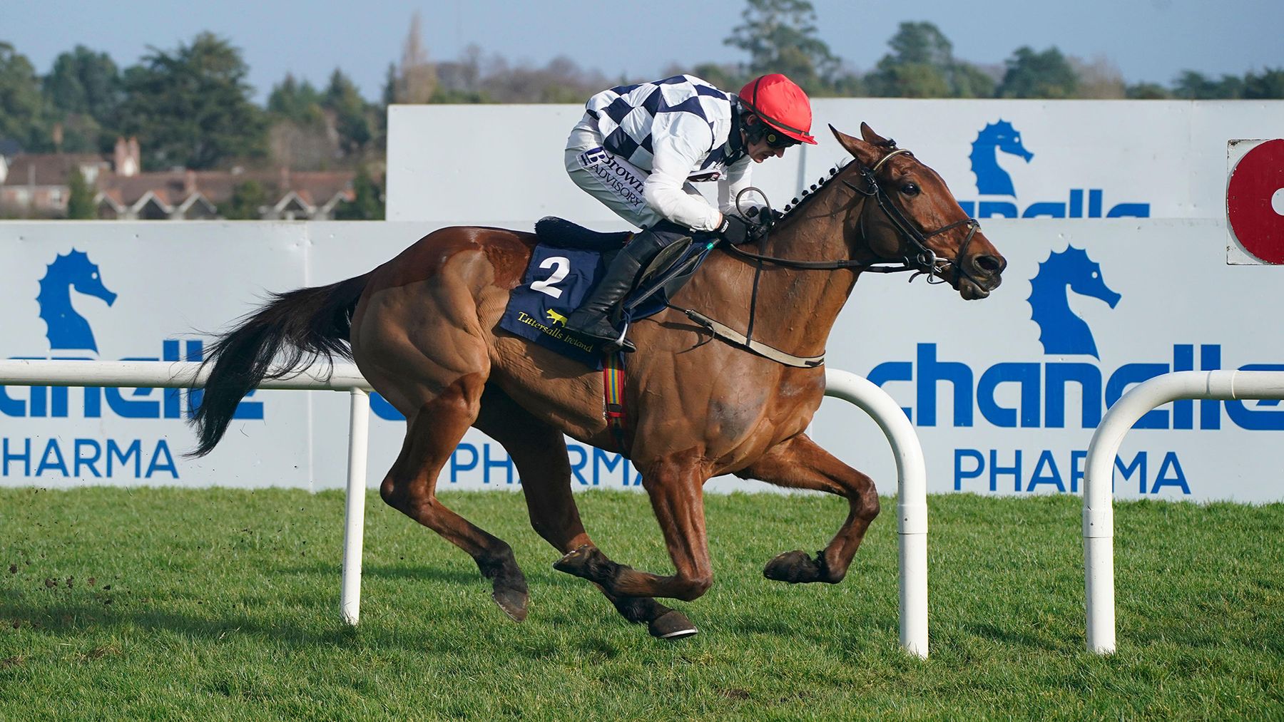 Ballyburn Baring Bingham Bound – Cheltenham Festival